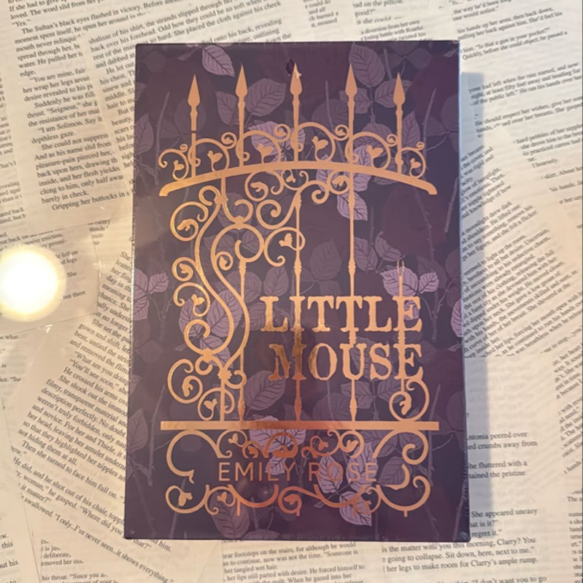 Little mouse by Emily rose, Hardcover | Pangobooks