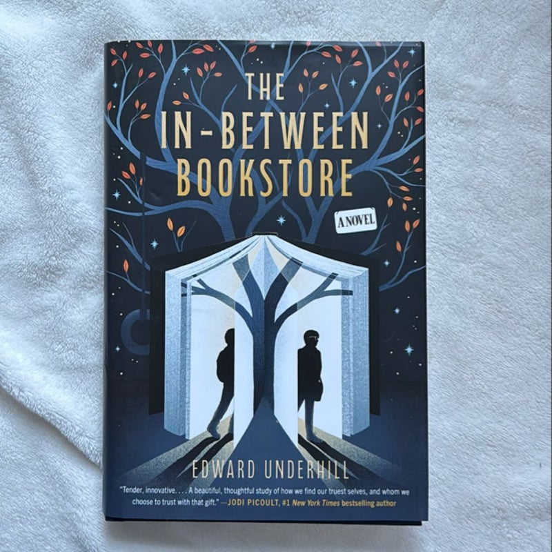 The in-Between Bookstore by Edward Underhill
