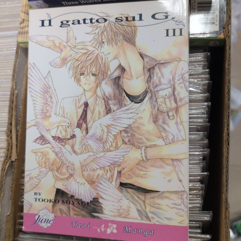 Il Gatto Sul G Volume 3 (Yaoi) by Tooko Miyagi