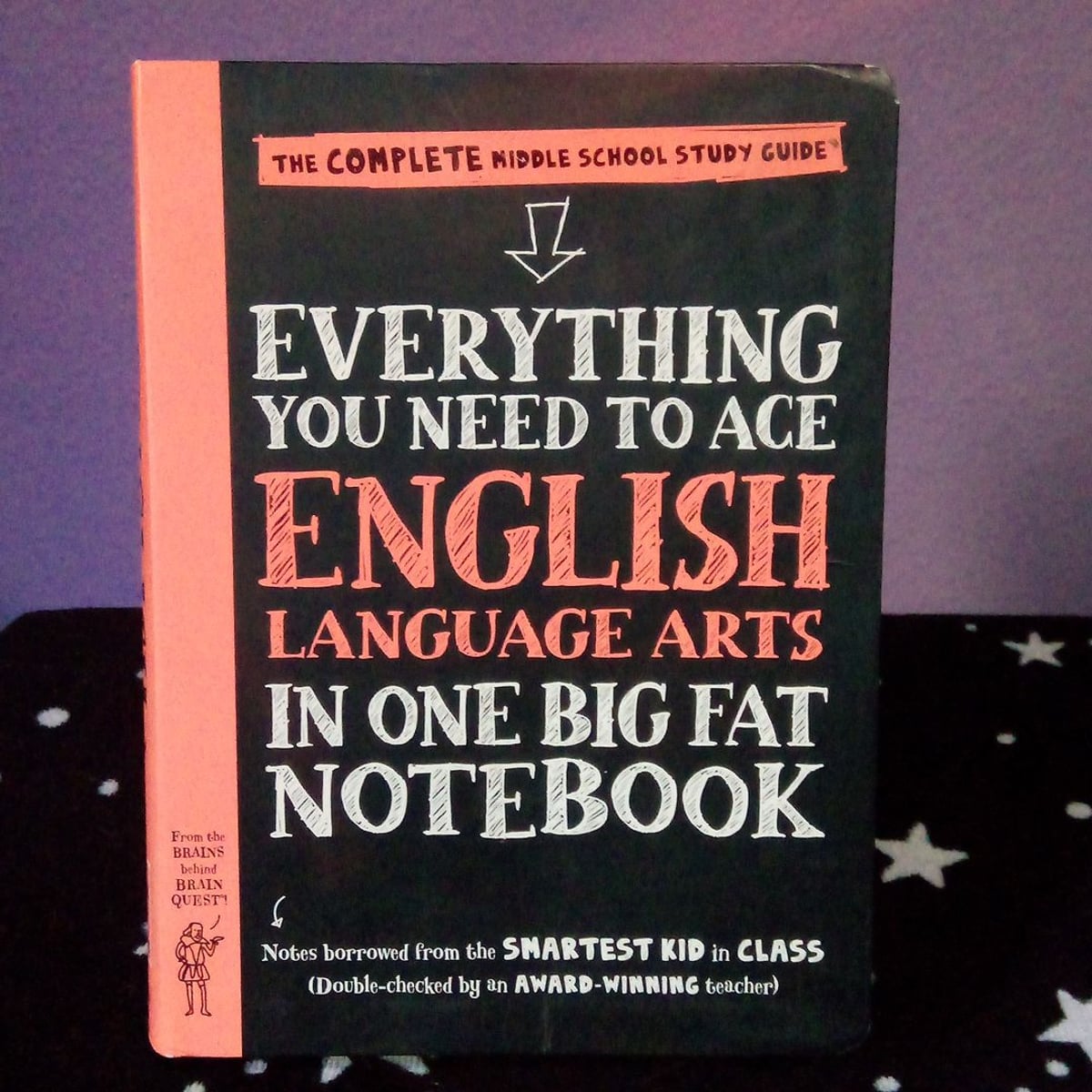 Everything You Need to Ace English Language Arts in One Big Fat ...