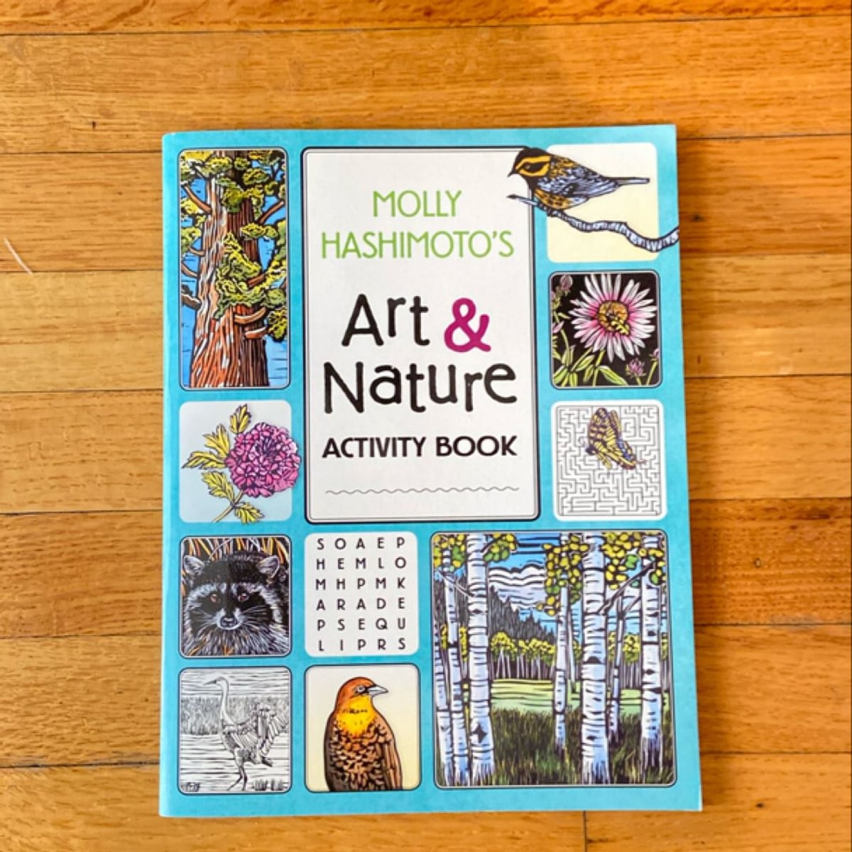 Molly Hashimoto's Art and Nature Activity Book by Molly Hashimoto
