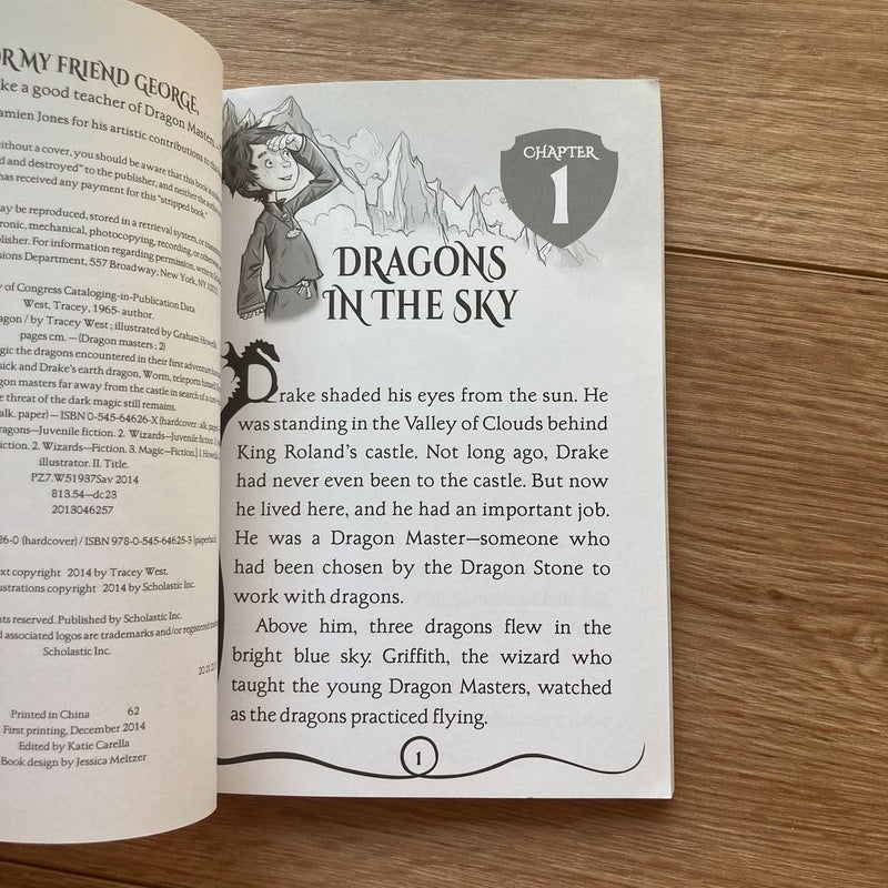 Saving the Sun Dragon by Tracey West