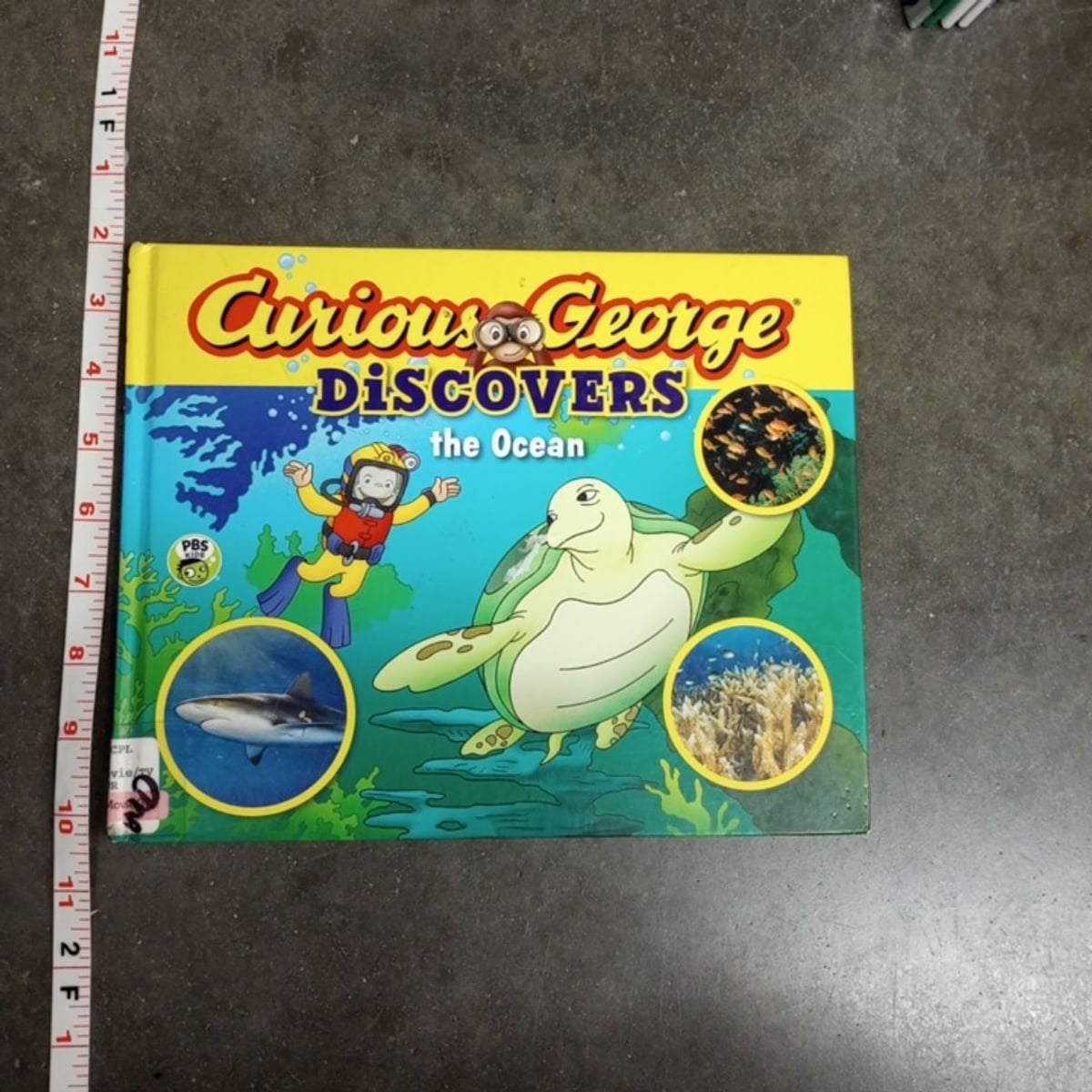 Curious George Discovers the Ocean (Science Storybook) by H. A. Rey
