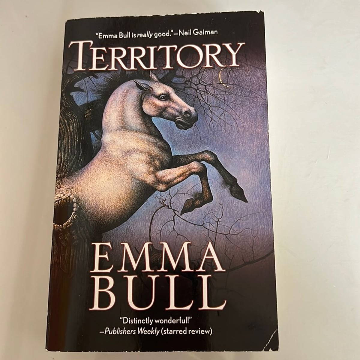 Territory by Emma Bull