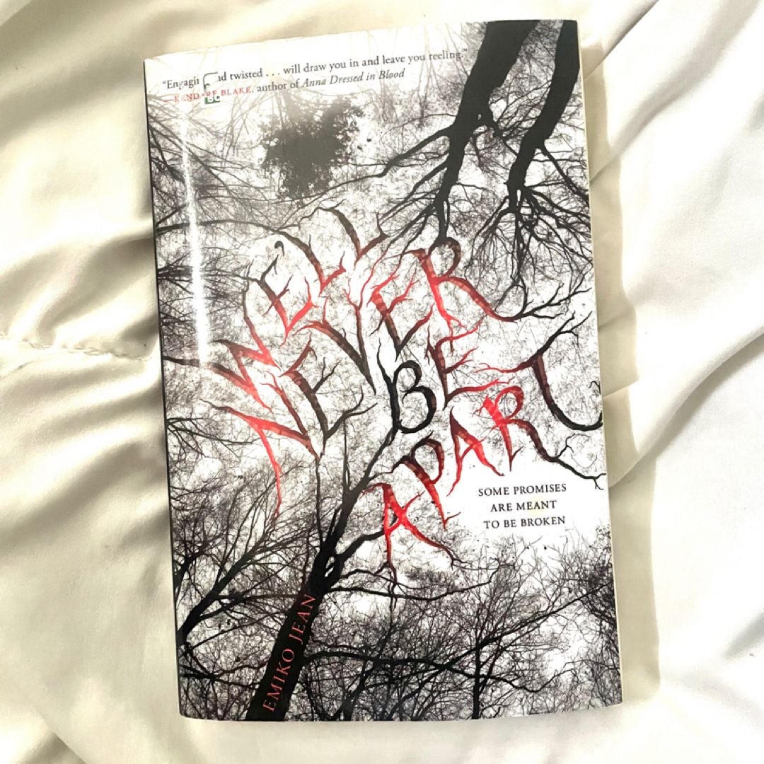 We'll Never Be Apart by Emiko Jean