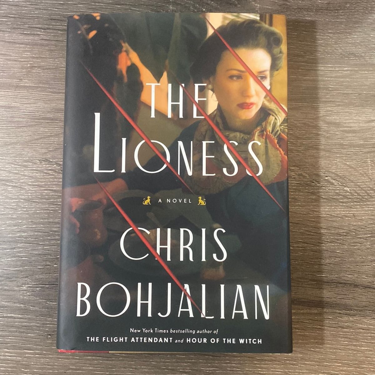 The Lioness by Chris Bohjalian