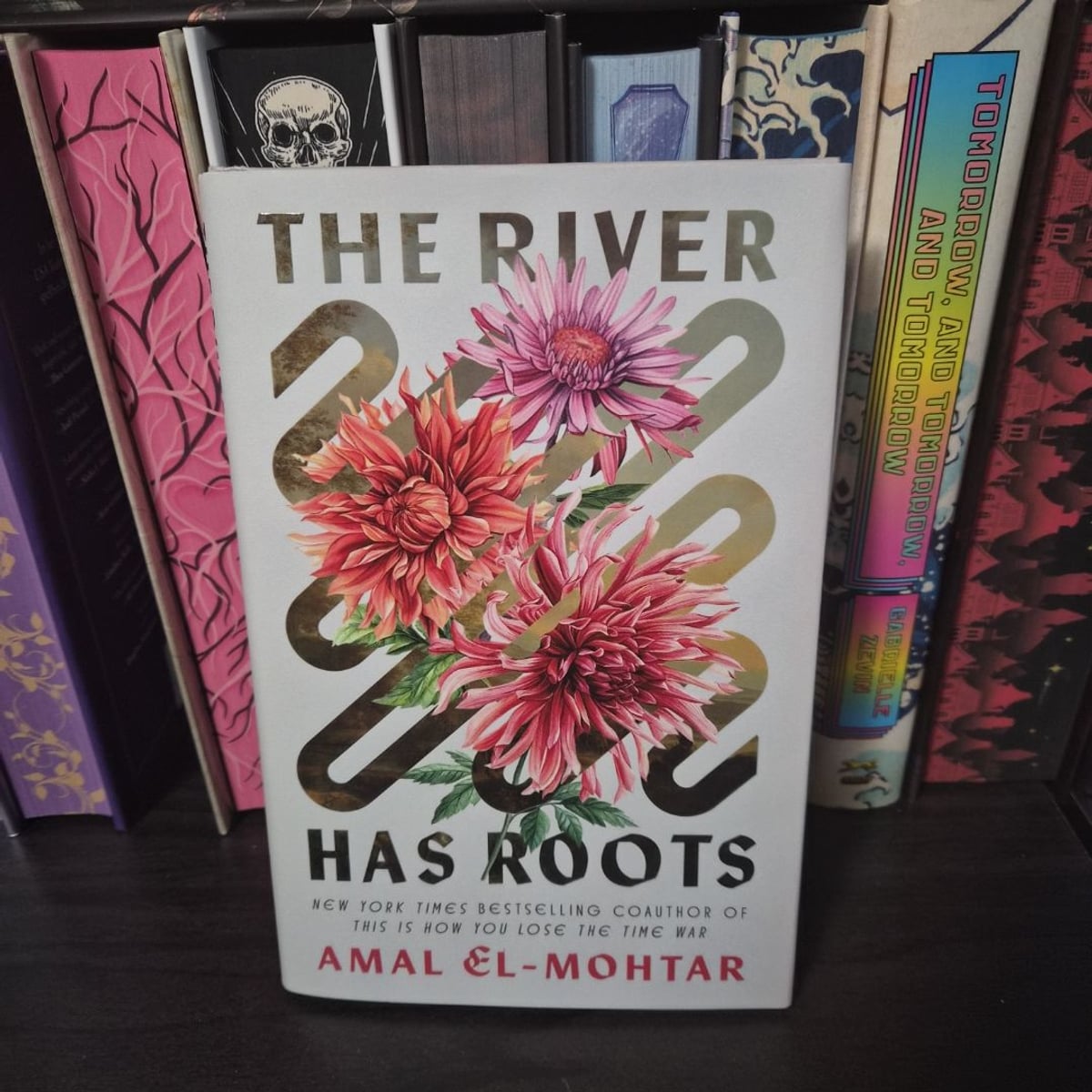 The River Has Roots by Amal El-Mohtar