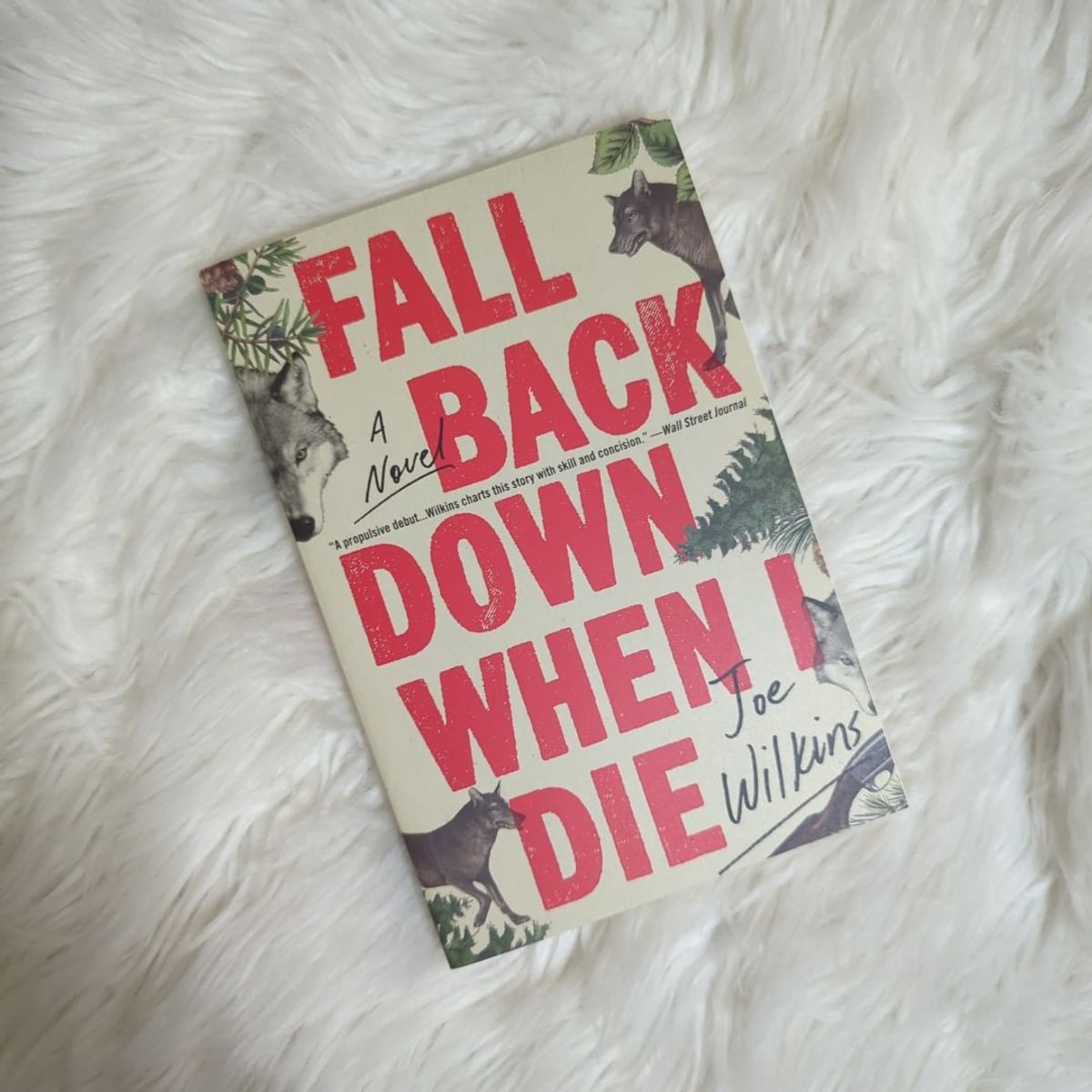 Fall Back down When I Die by Joe Wilkins