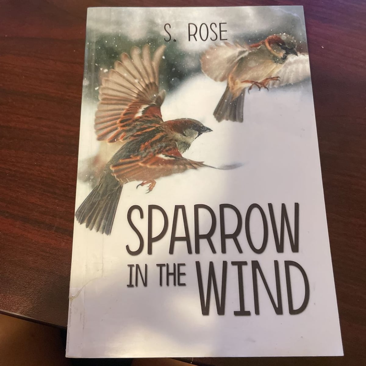Sparrow in the Wind by S. Rose