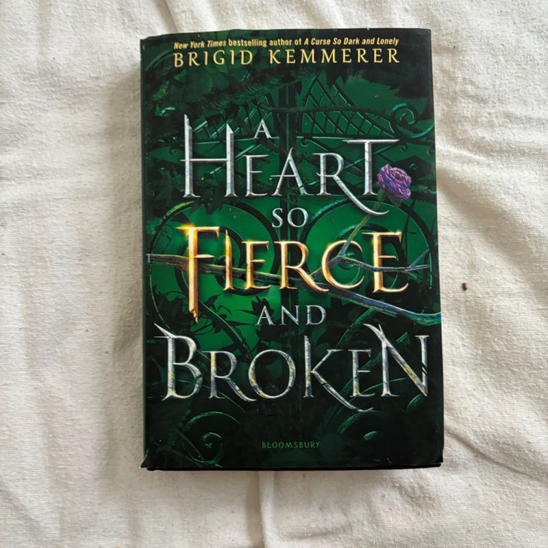 A Heart So Fierce and Broken by Brigid Kemmerer