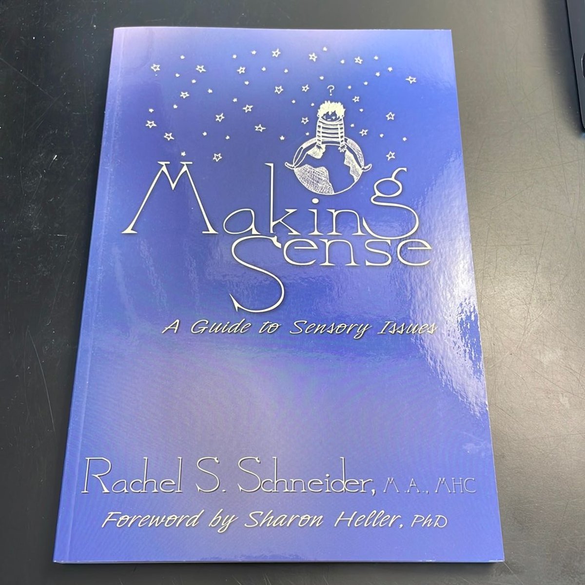 Making Sense: a Guide to Sensory Issues by Rachel S. Schneider, Sharon ...