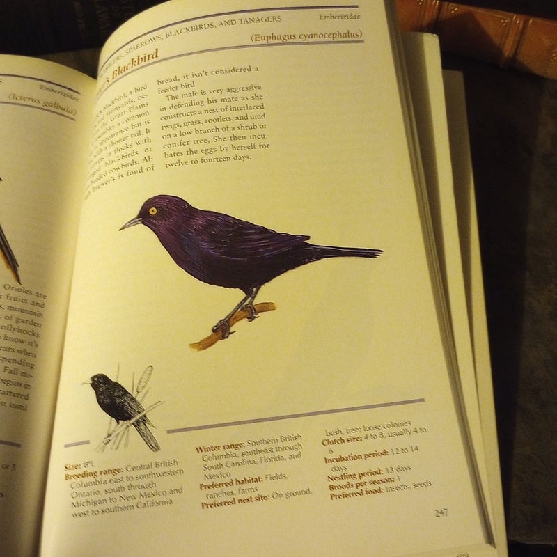 The Backyard Bird-Lover's Guide