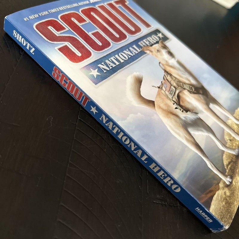 Scout: National Hero