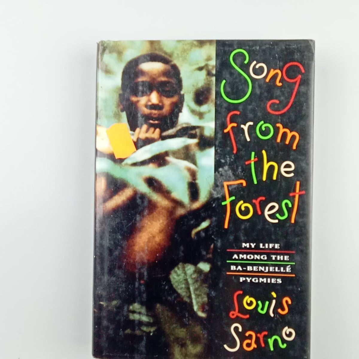 Song from the Forest by Louis Sarno, Hardcover | Pangobooks