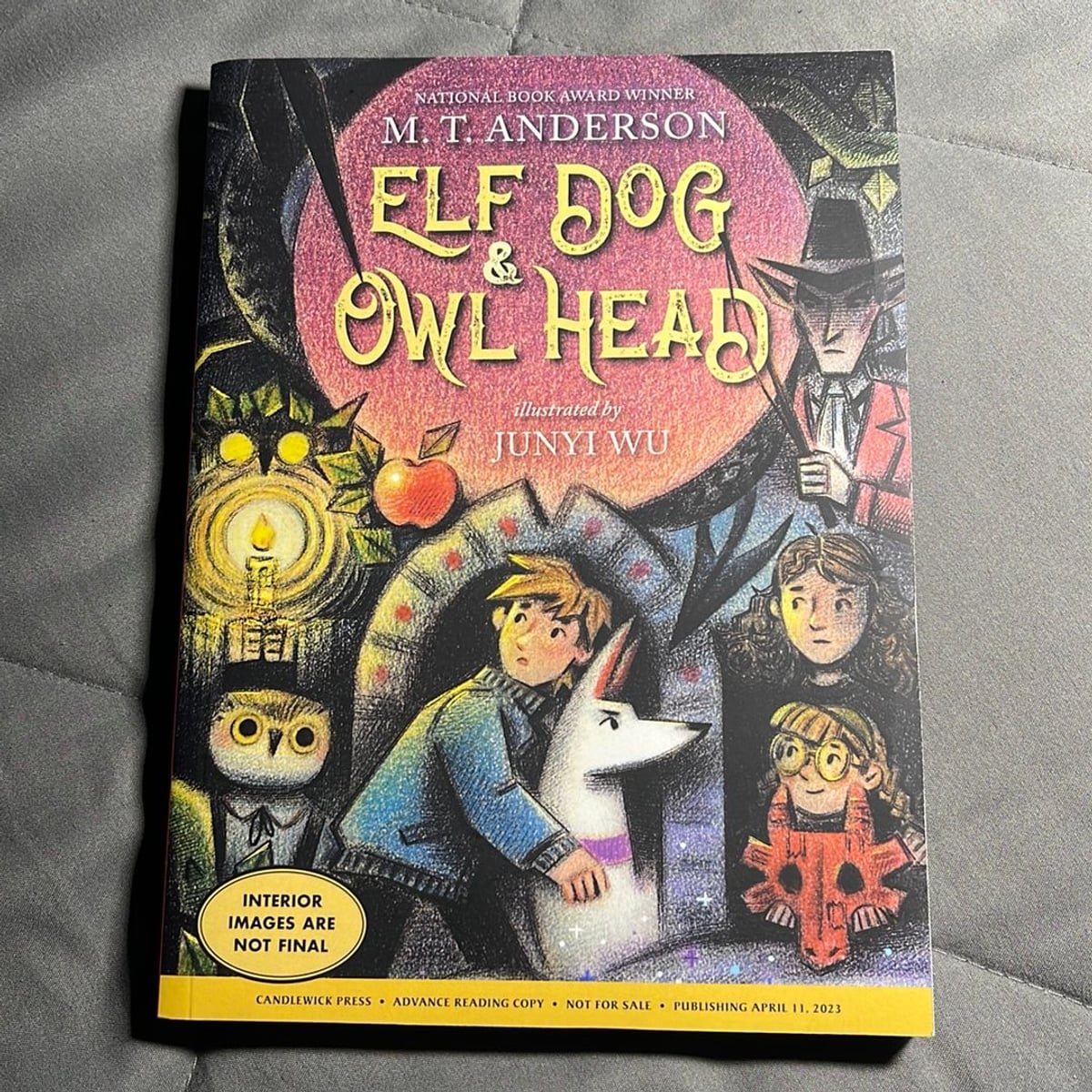 Elf Dog and Owl Head ARC by MT Anderson, Paperback | Pangobooks