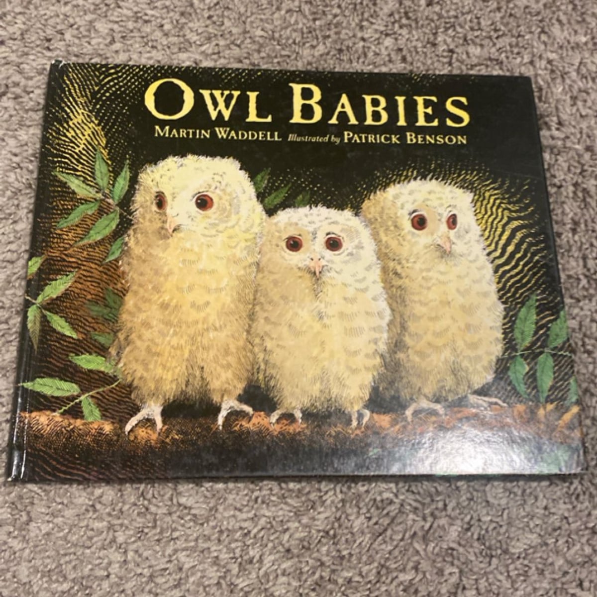 Owl Babies by Martin Waddell