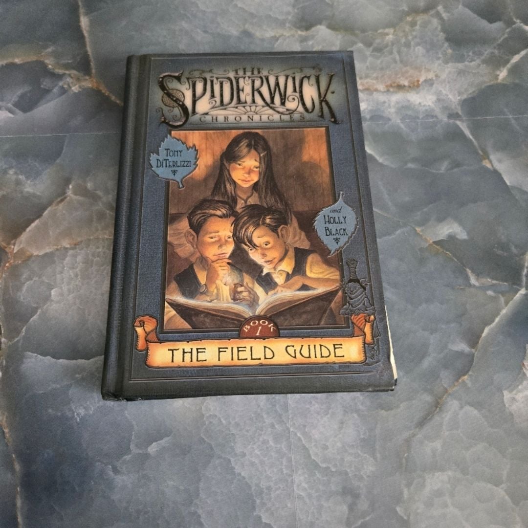 The Spiderwick Chronicles Books 1-4 by Tony DiTerlizzi and Holly Black ...