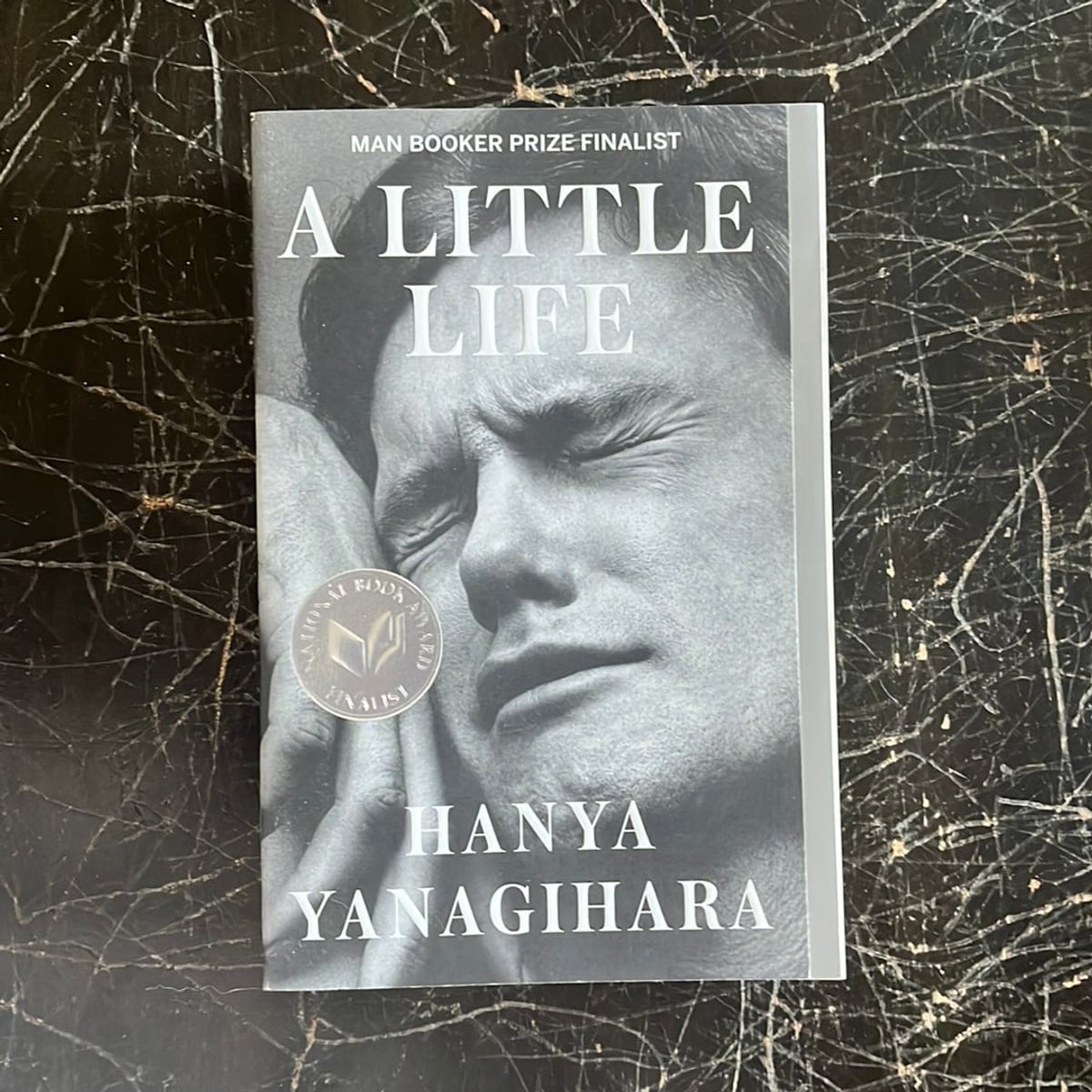A Little Life by Hanya Yanagihara, Paperback | Pangobooks