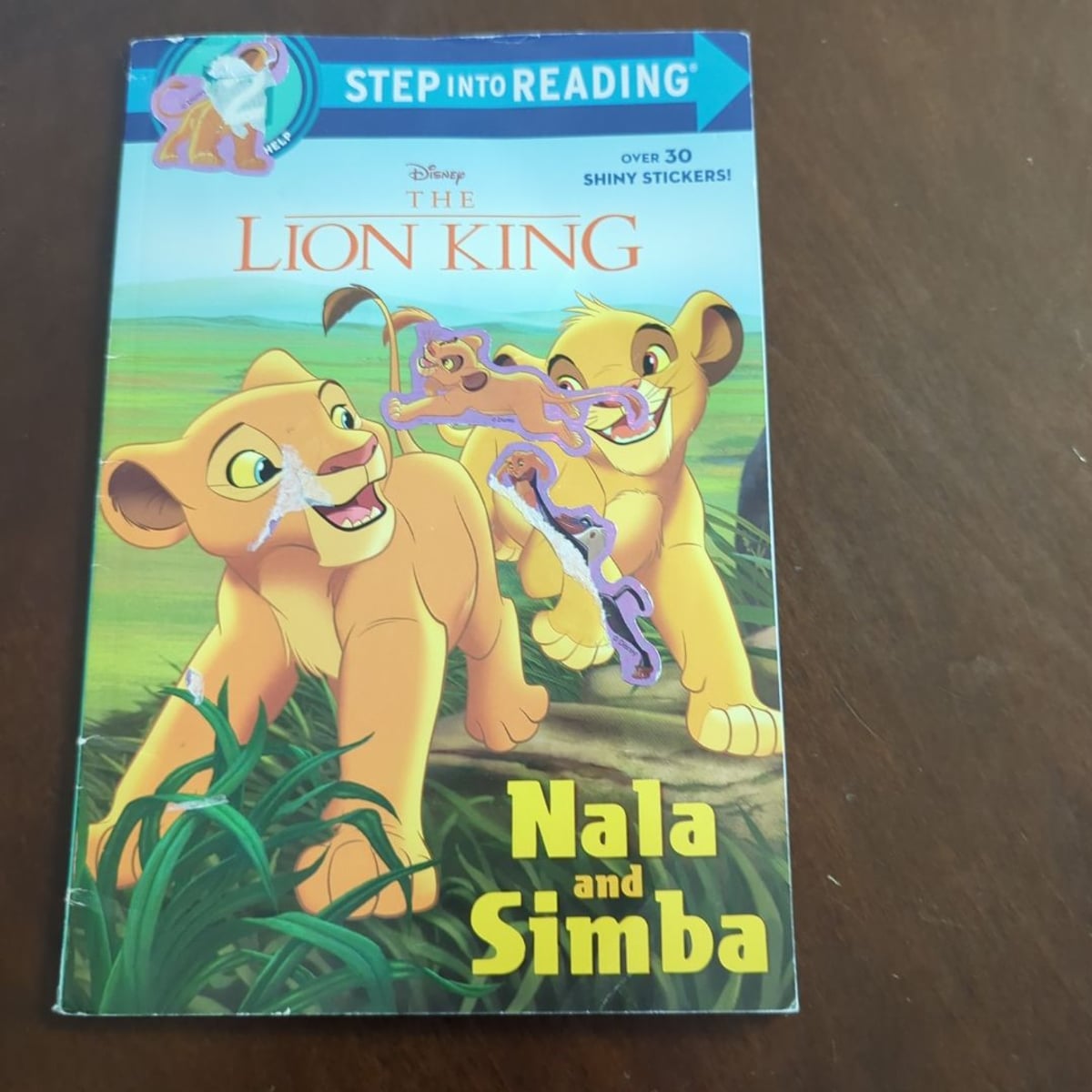 Nala and Simba (Disney the Lion King) by Mary Tillworth