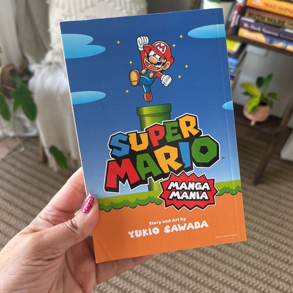 Super Mario Manga Mania by Yukio Sawada