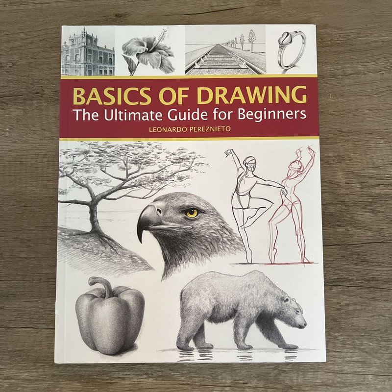 Basics of Drawing by Leonardo Pereznieto