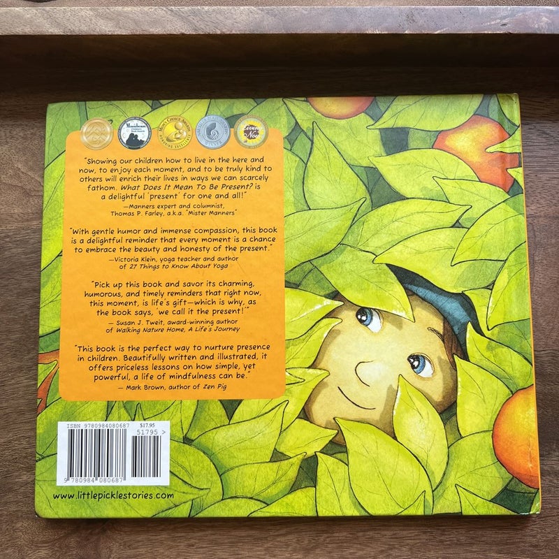 What Does It Mean to Be Present? by Rana DiOrio, Hardcover | Pangobooks