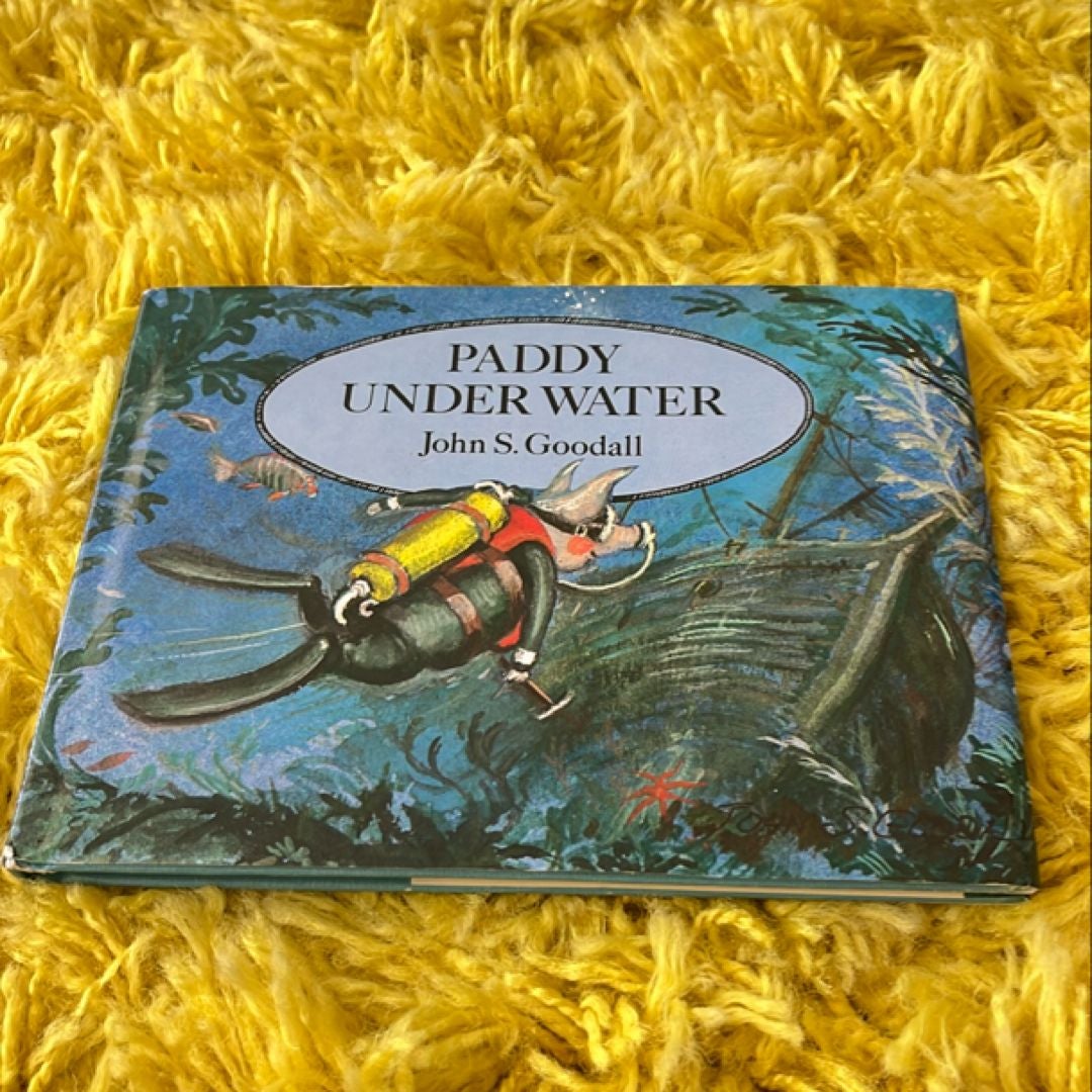 Paddy under Water by John Goodall