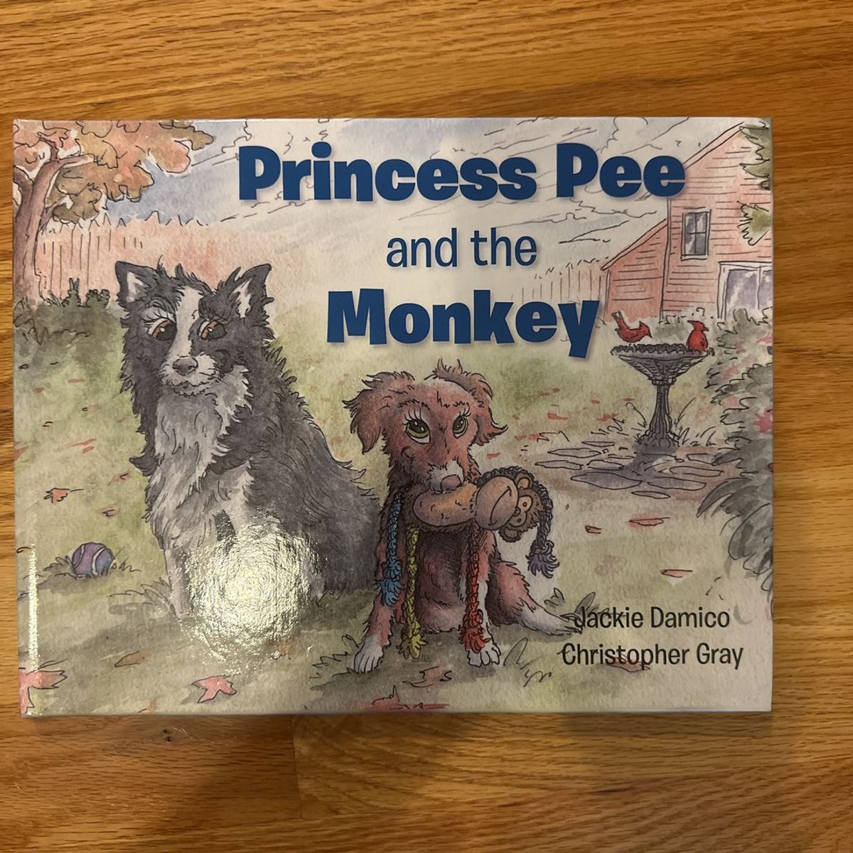 Princess Pee and the Monkey by Jackie Damico