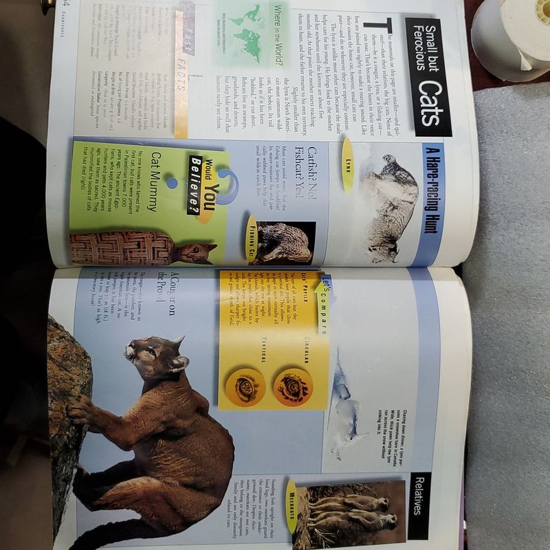 Mammals by Karin Kinney, Hardcover | Pangobooks