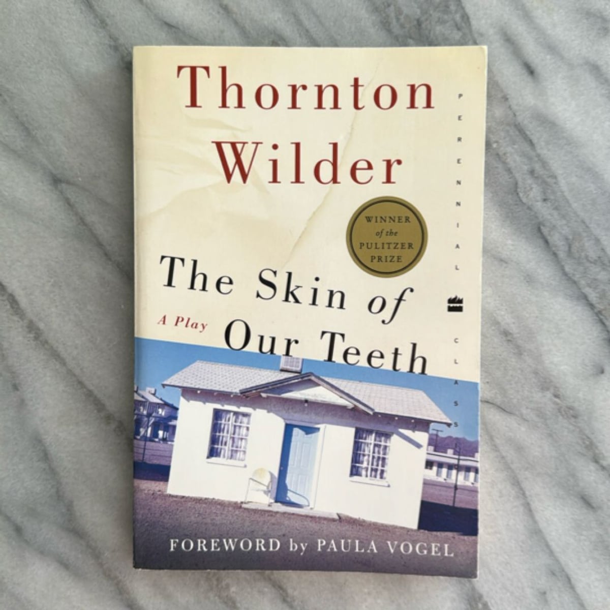 The Skin of Our Teeth by Thornton Wilder