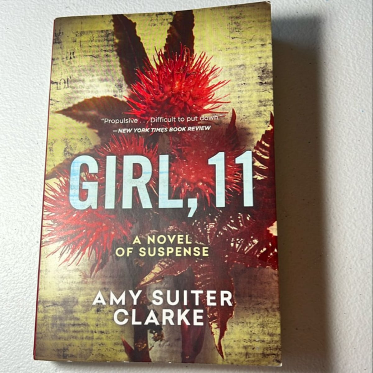 Girl, 11 by Amy Suiter Clarke