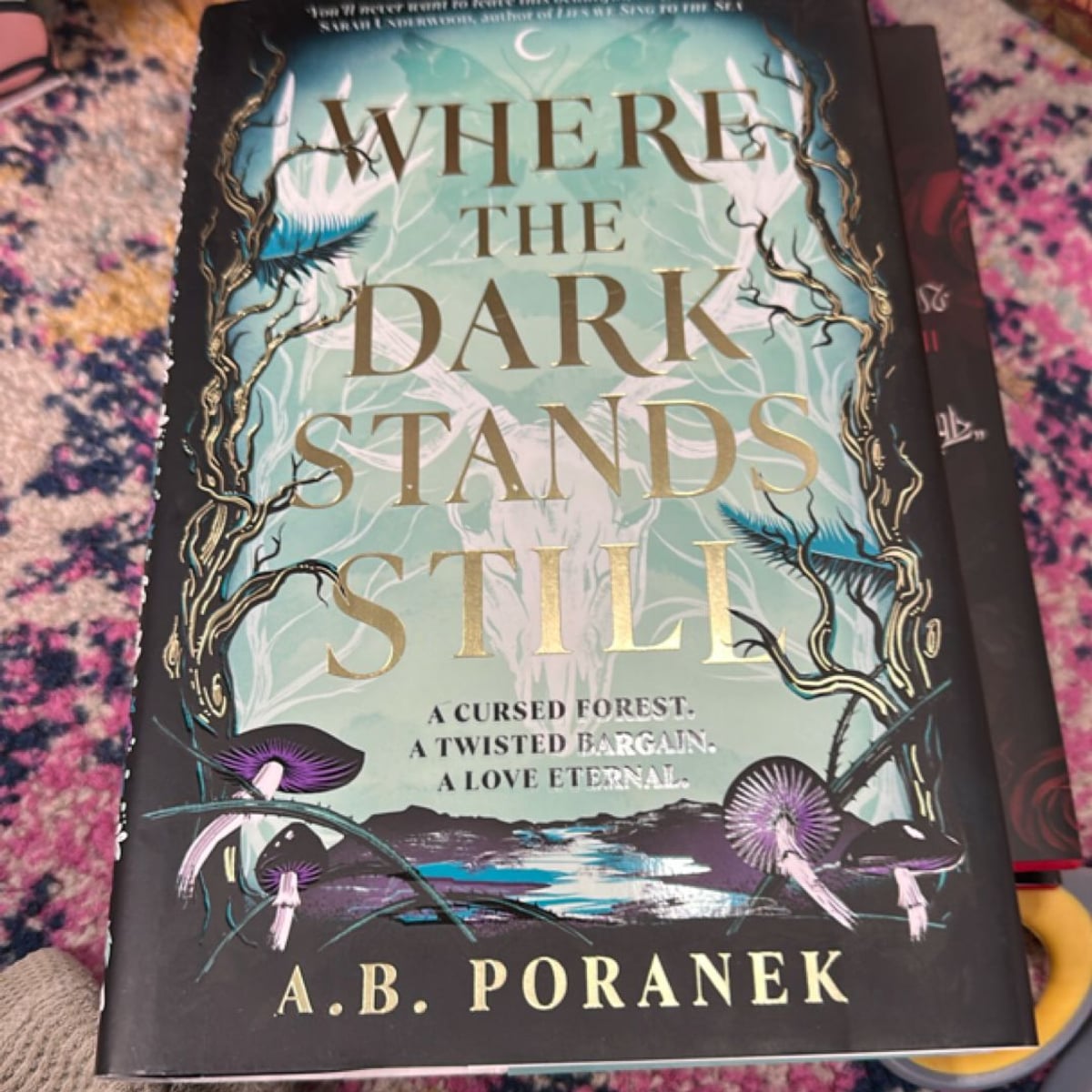 Where The Dark Stands Still (waterstones Exclusive Edition) by A.b. Poranek