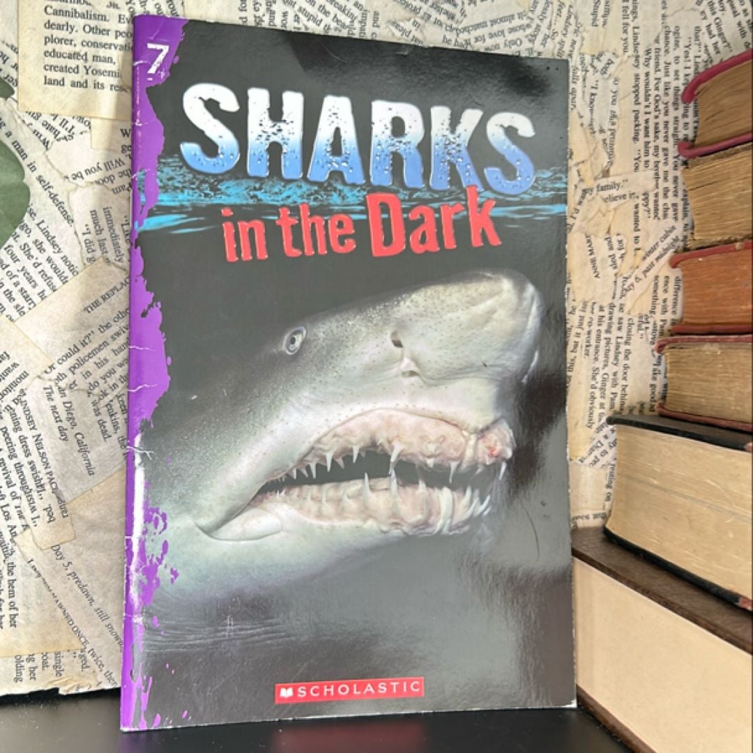 Sharks in the Dark by Eduardo Aparicio