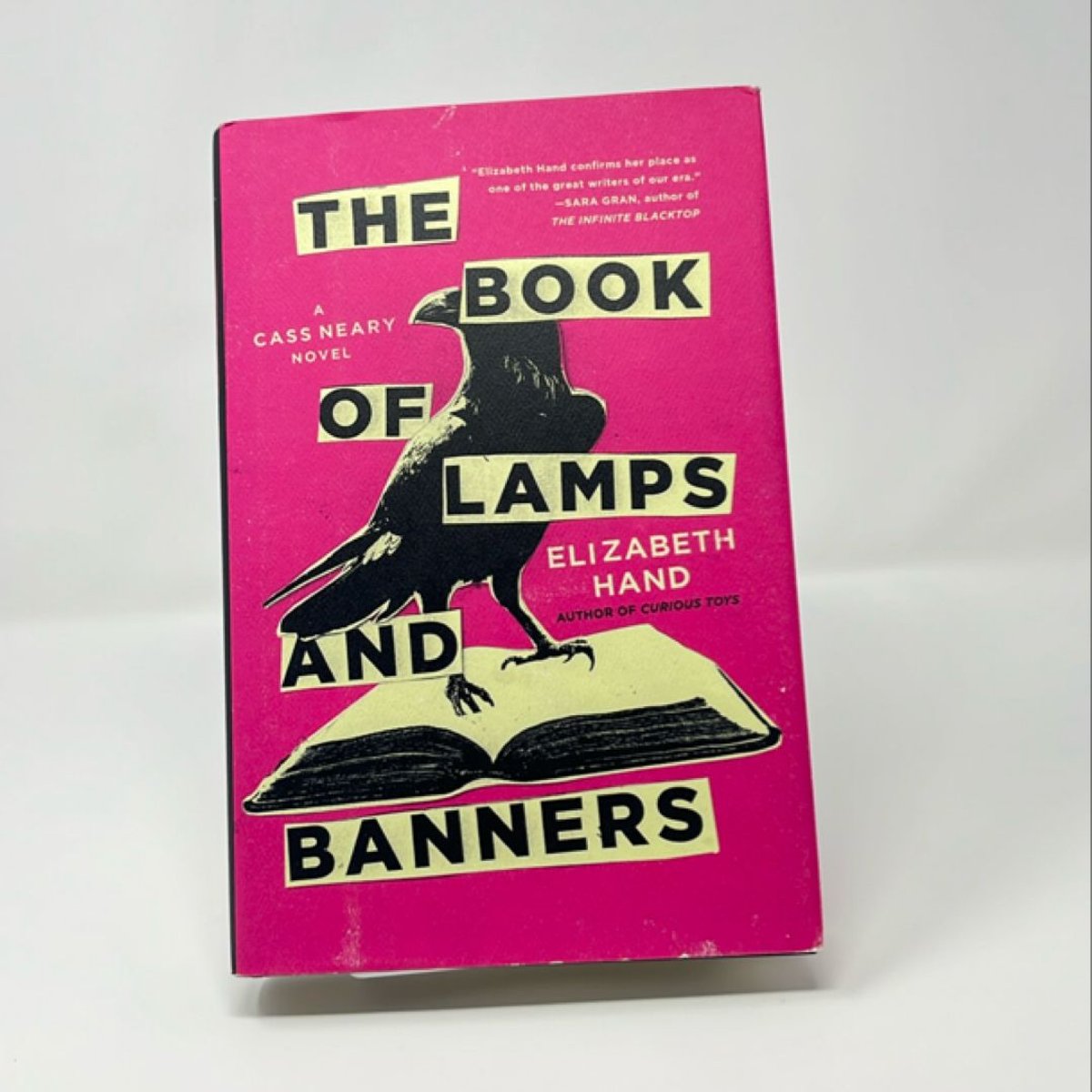 The Book of Lamps and Banners by Elizabeth Hand