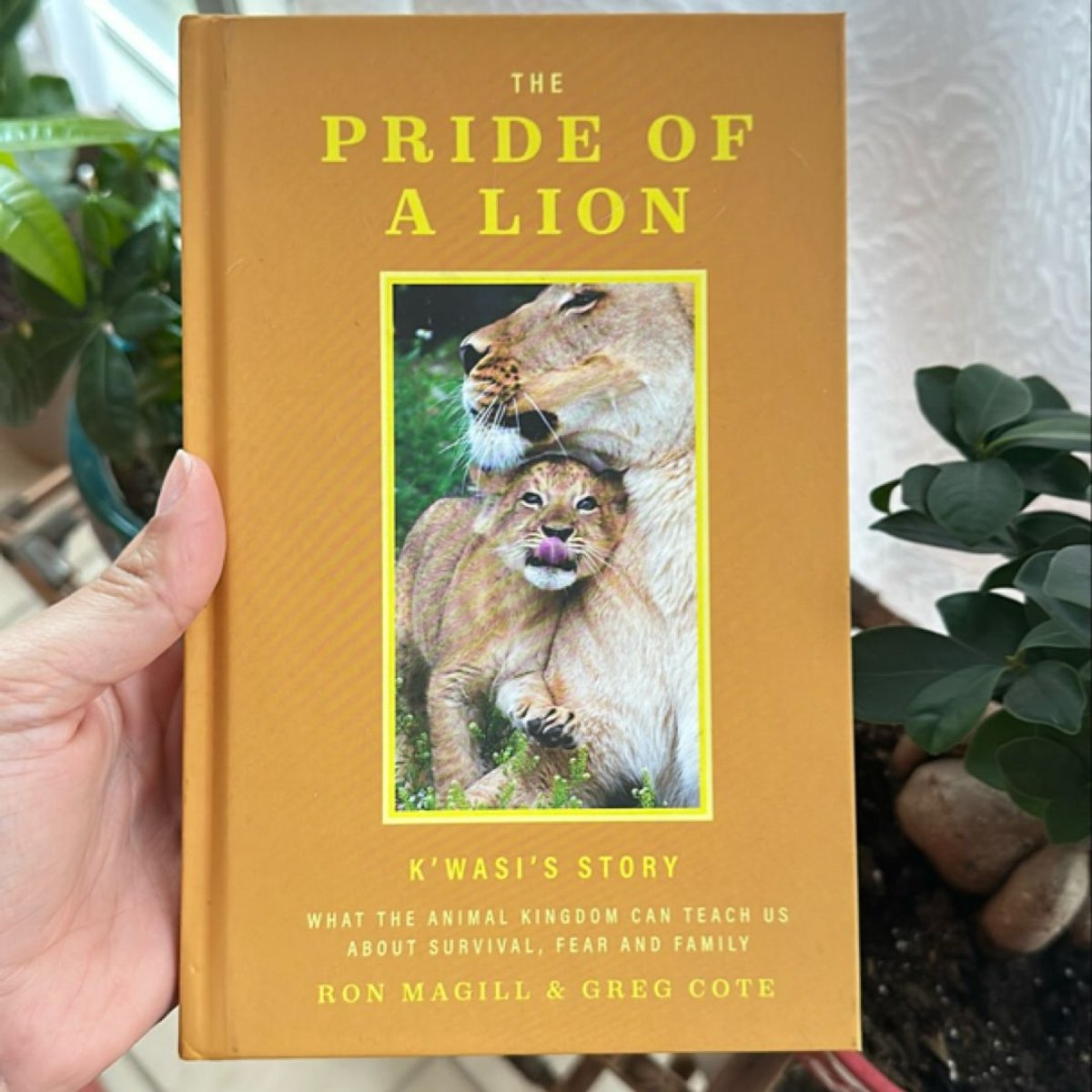 The Pride of a Lion by Ron Magill, Greg Cote