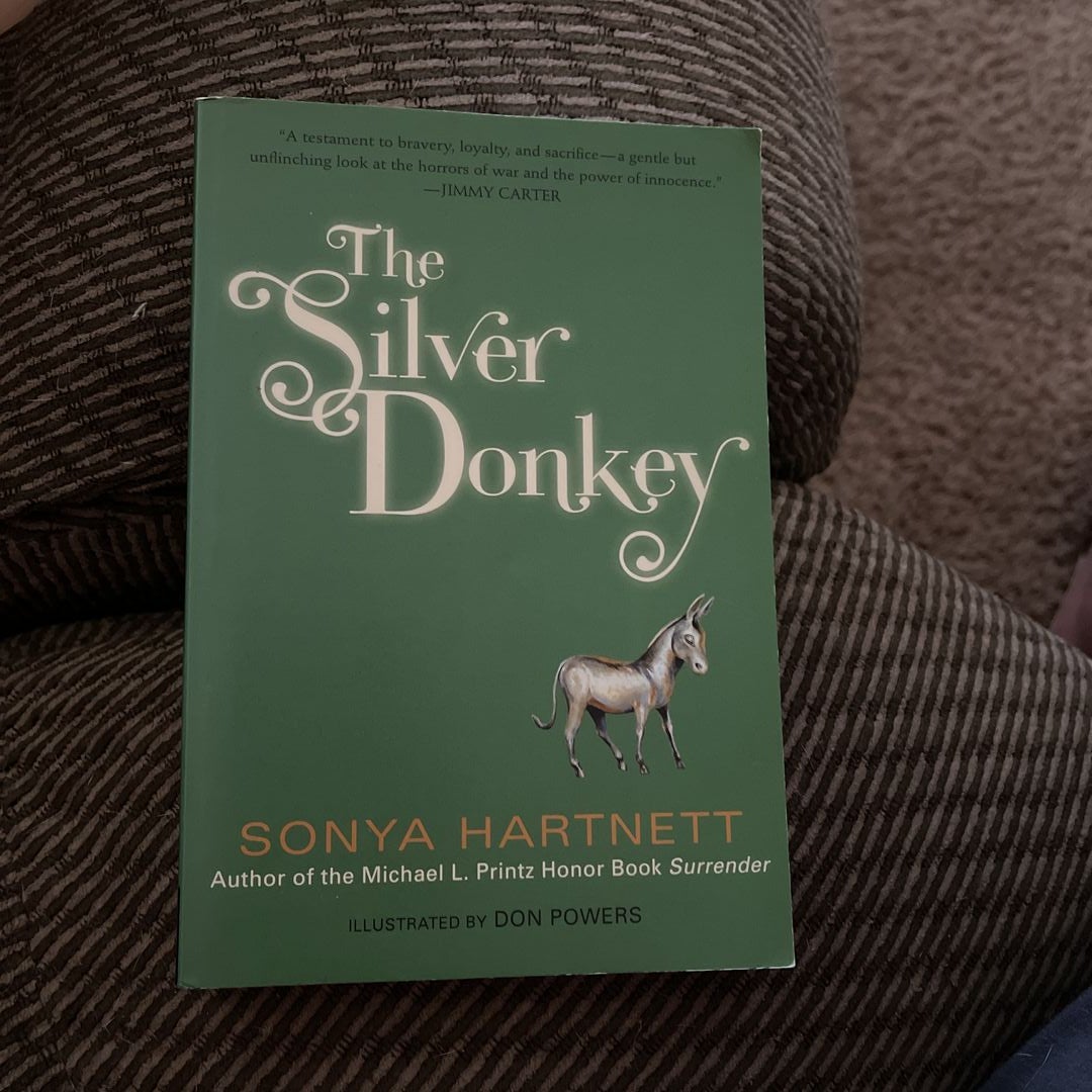 The Silver Donkey by Sonya Hartnett