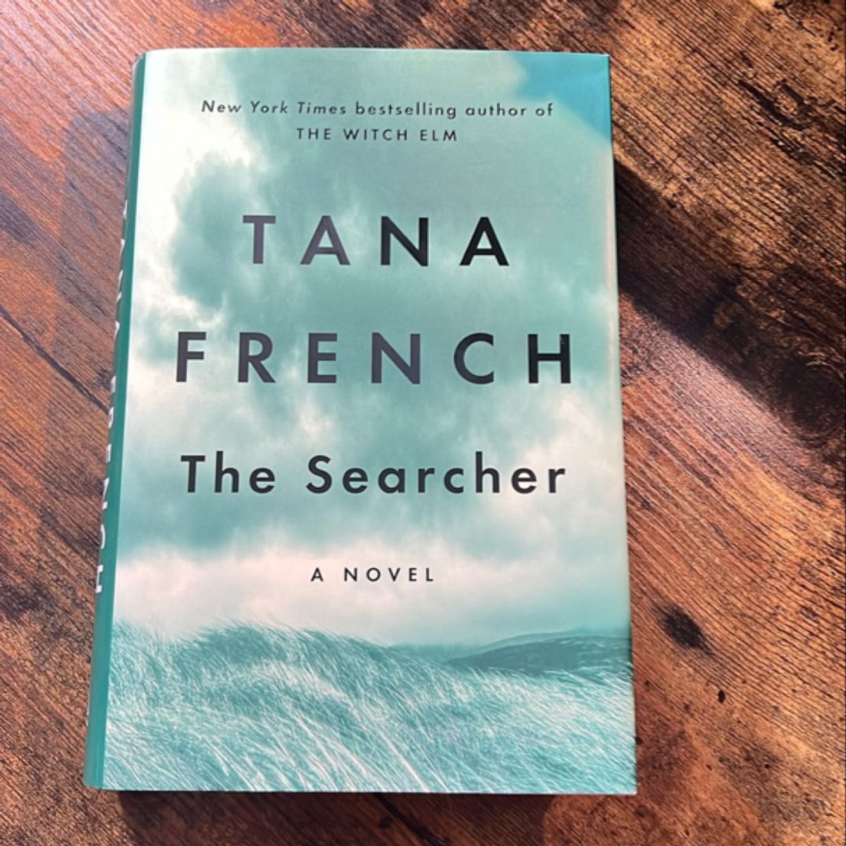 The Searcher by Tana French