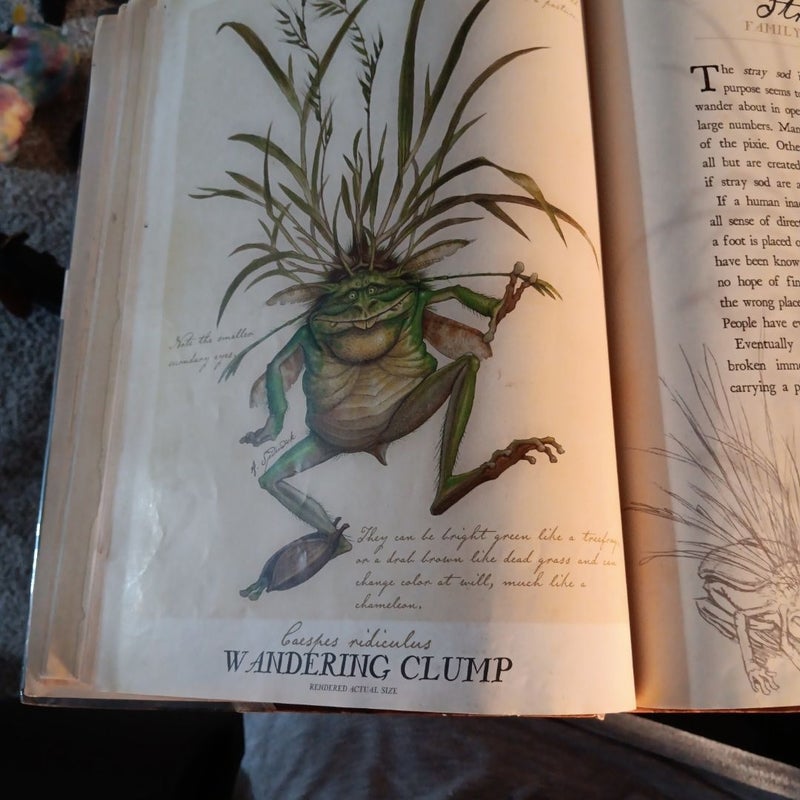 Arthur Spiderwick's Field Guide to the Fantastical World Around You by ...