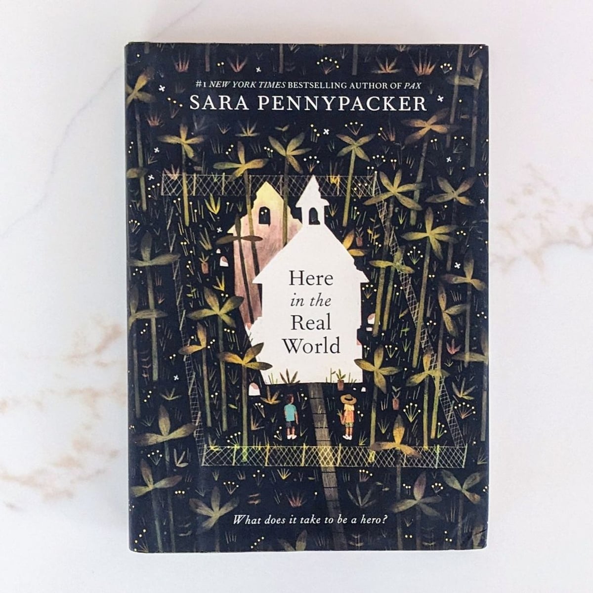Here in the Real World by Sara Pennypacker