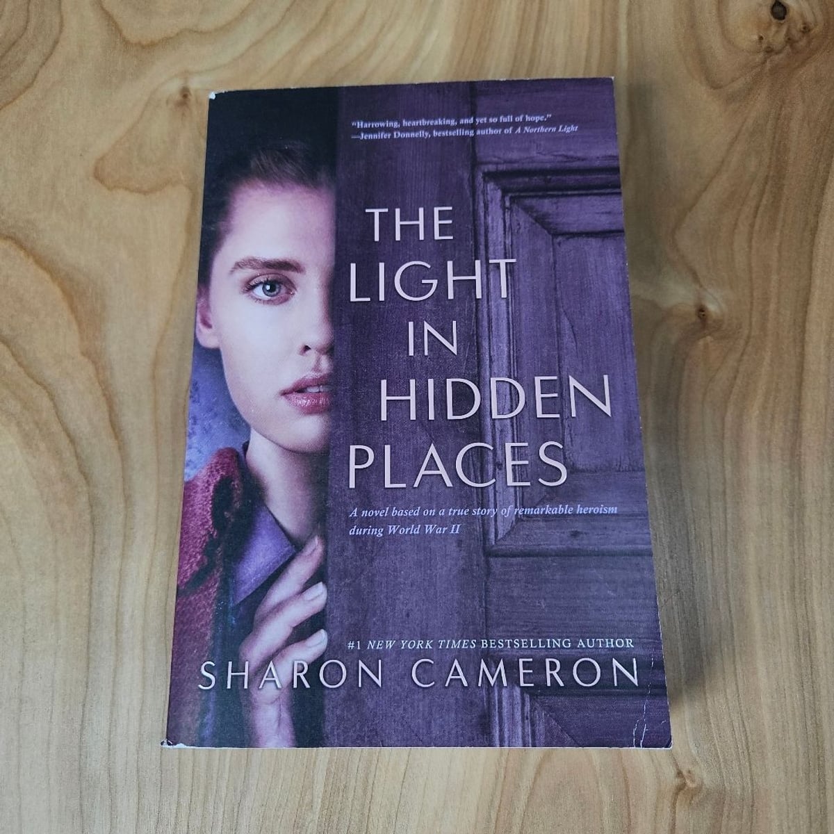 The Light In Hidden Places by Sharon Cameron , Paperback | Pangobooks