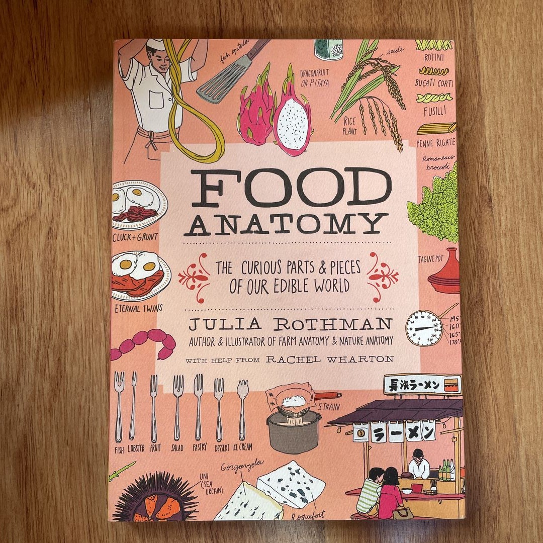 Food Anatomy