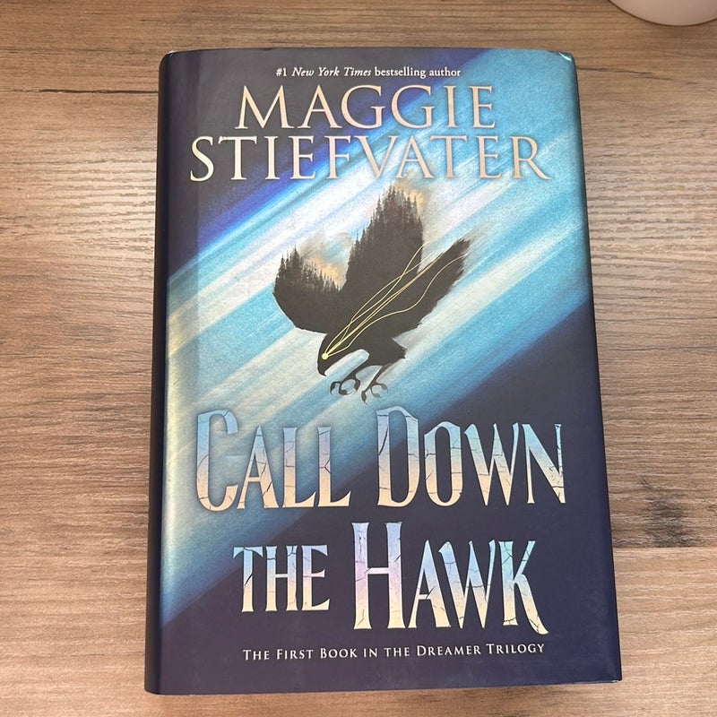 Call Down the Hawk Owlcrate by Maggie Stiefvater, Hardcover | Pangobooks