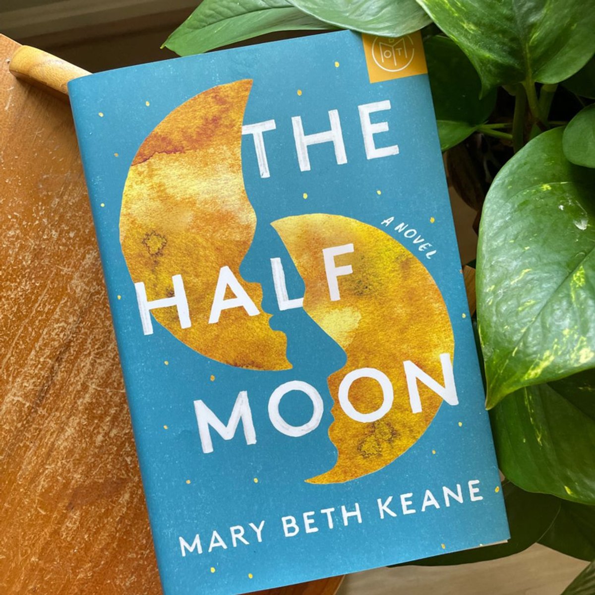 The Half Moon by Mary Beth Keane