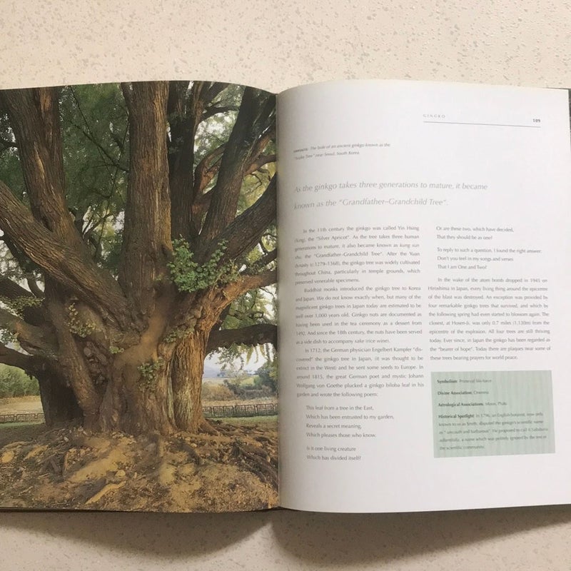 The Meaning of Trees by Fred Hageneder