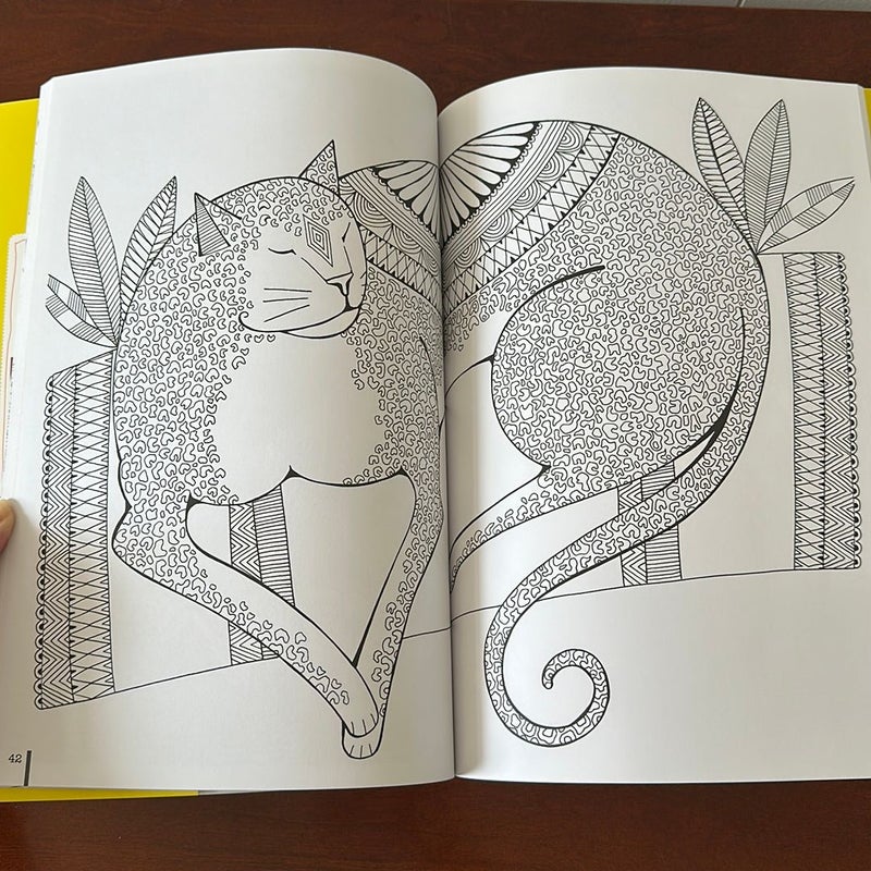 Coloring in 3D Cats by Hannah Davies, Emma Segal