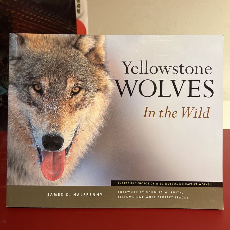 Yellowstone Wolves in the Wild by James C. Halfpenny, Paperback ...