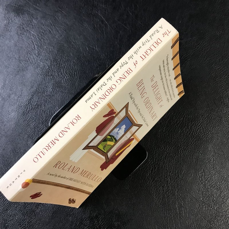 The Delight of Being Ordinary by Roland Merullo, Paperback | Pangobooks