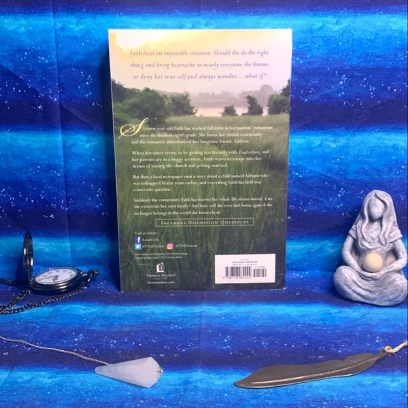 Abiding Mercy by Ruth Reid, Paperback | Pangobooks