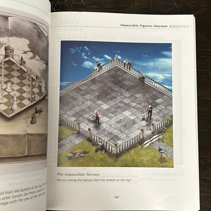 Incredible Visual Illusions by Al Seckel