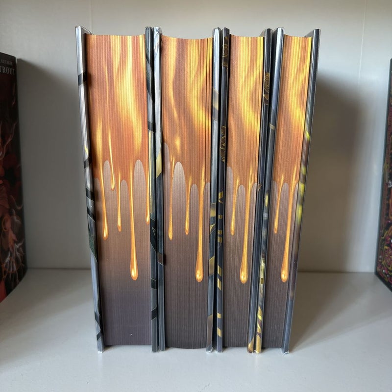 The Plated Prisoner Series by Raven Kennedy, Hardcover | Pangobooks